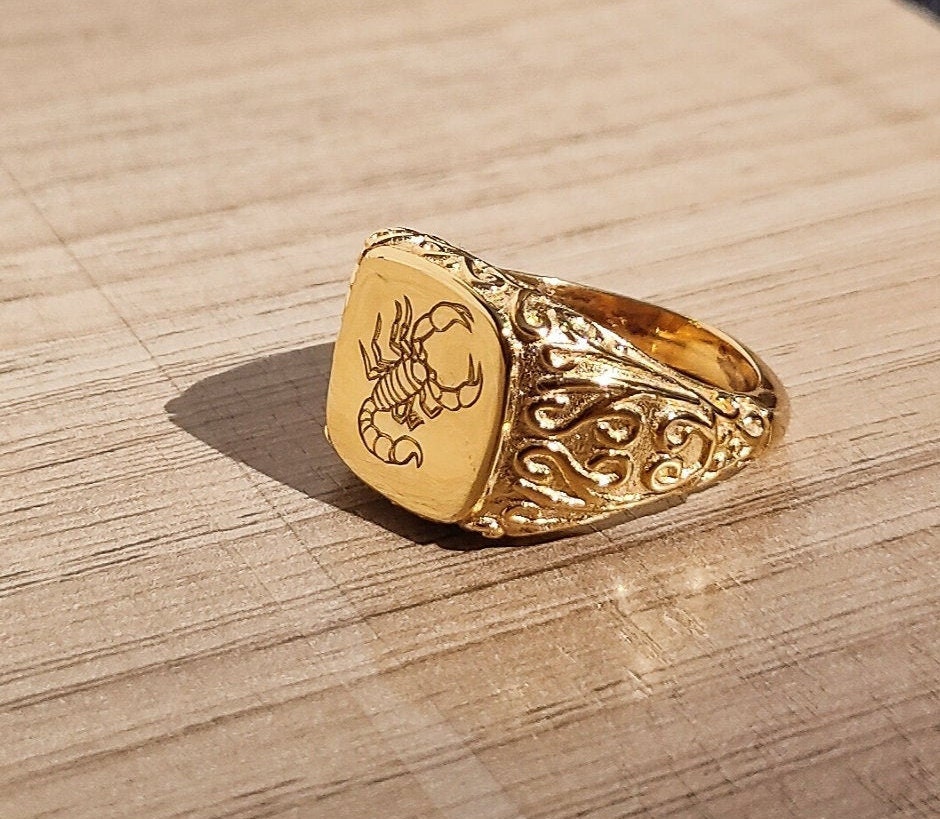 Mens Ring Zodiac Sign Signet Rings Zodiac Signet Ring Zodiac | Etsy