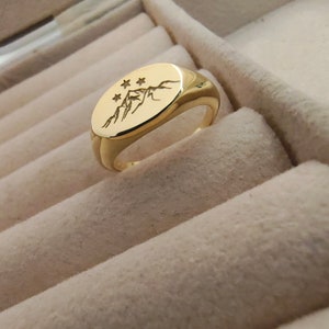 Acotar Night Court Ring 14k Gold, Starry Mountains, Bookish Velaris ...