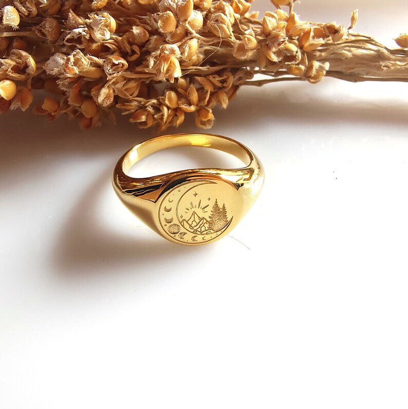 Sterling Silver Ring Mountain Ring Signet Ring Nature Ring - Etsy