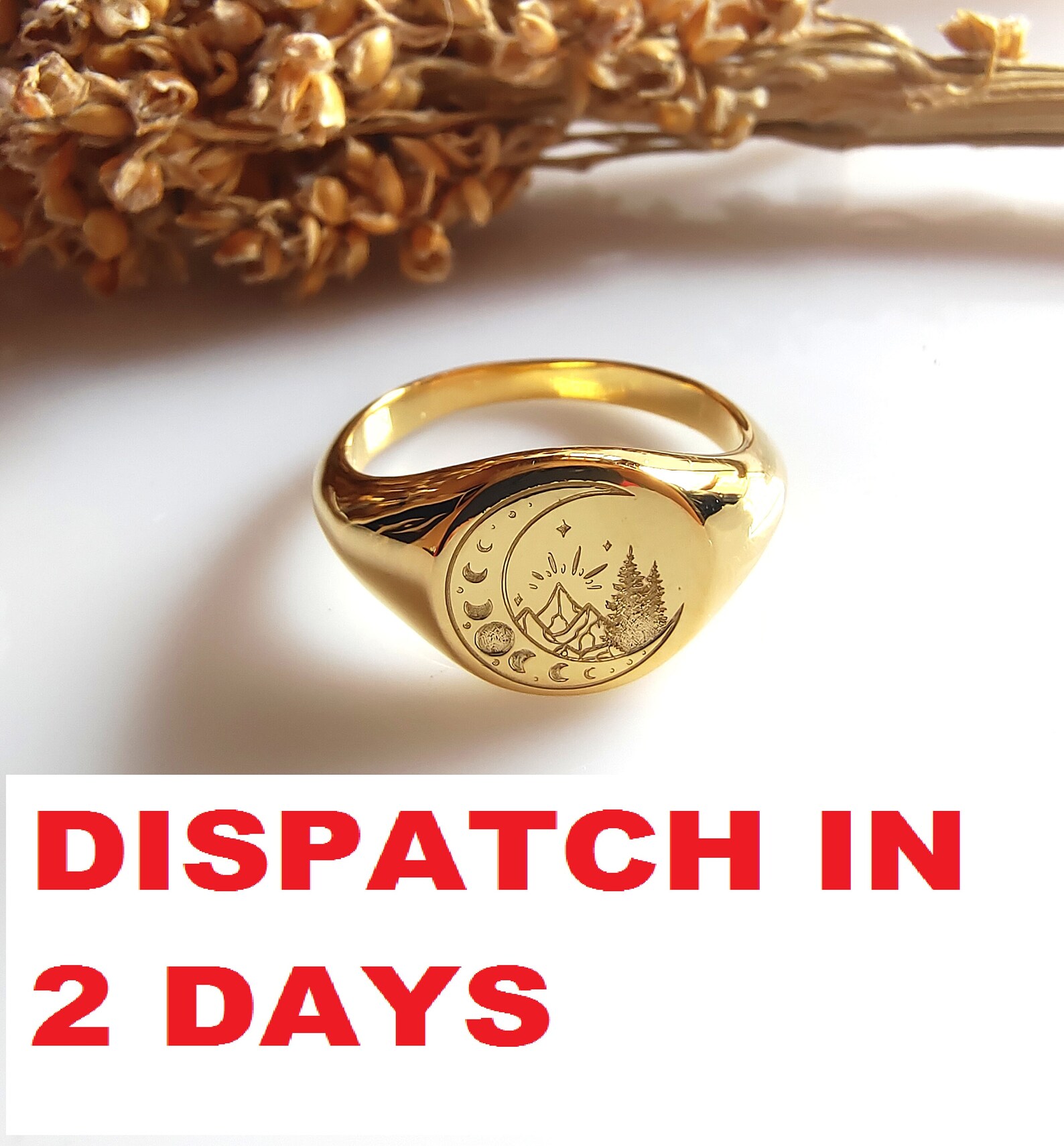 Sterling Silver Ring Mountain Ring Signet Ring Nature Ring - Etsy