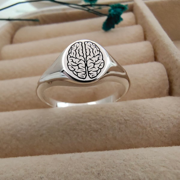 Anatomical Brain - Etsy