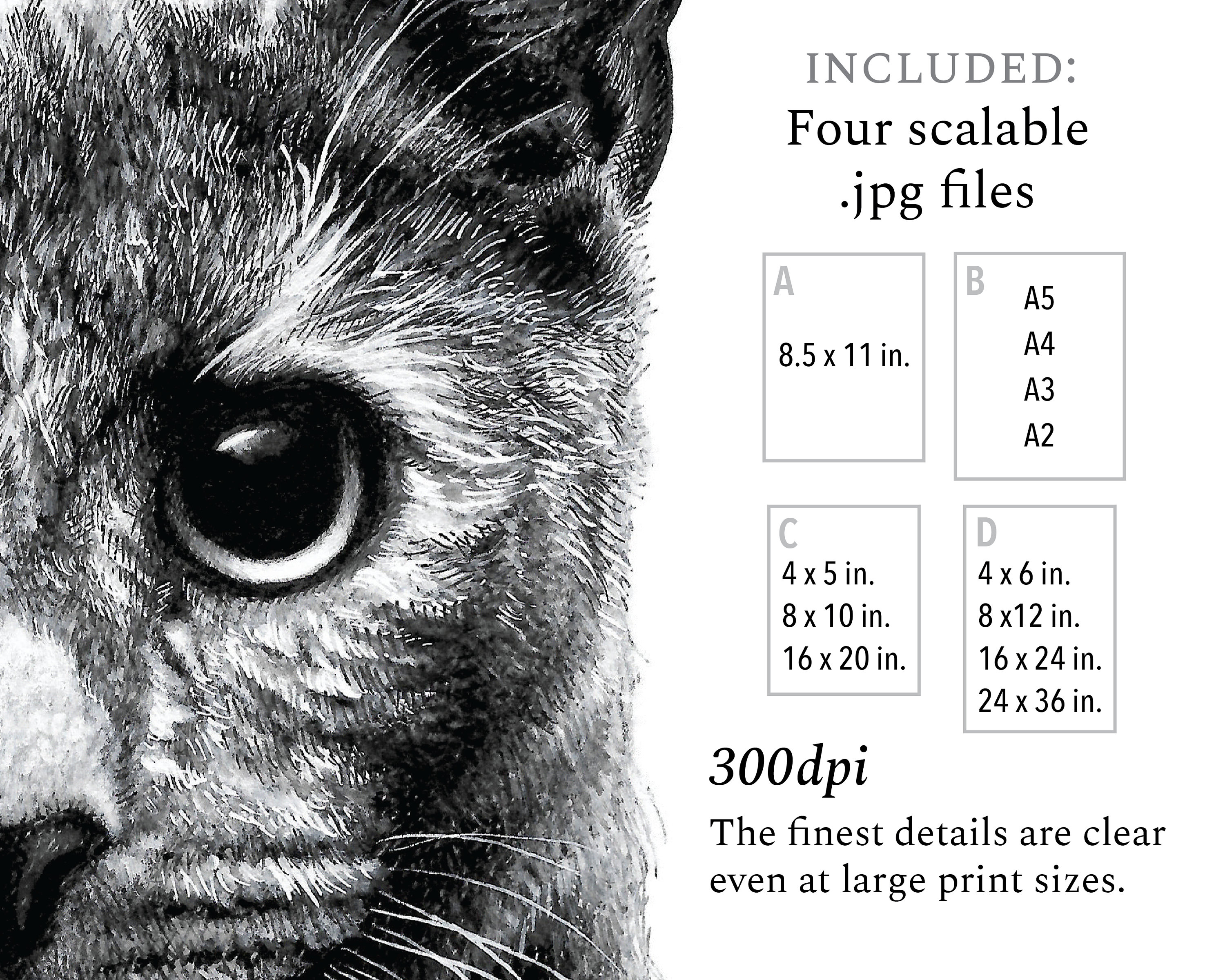 Tortoiseshell Cat Art Print ∙ Digital Download Printable - Etsy