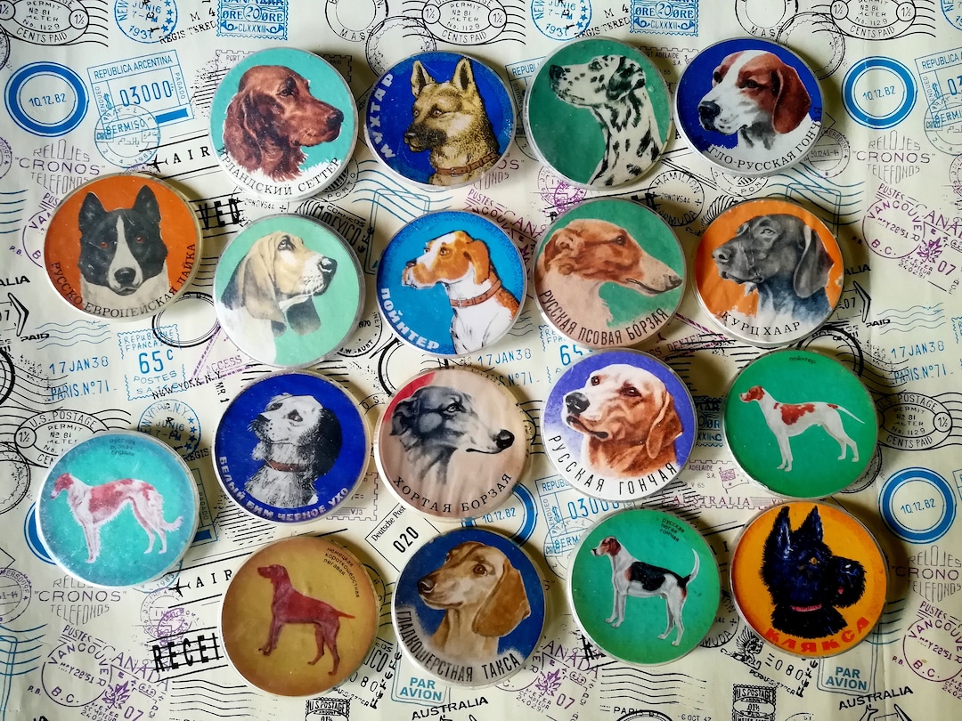 Badges With Dogs, Breeds of Dogs, Set of 18 Big Vintage Soviet Color ...