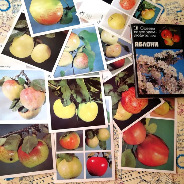 Russian Postcards - Etsy