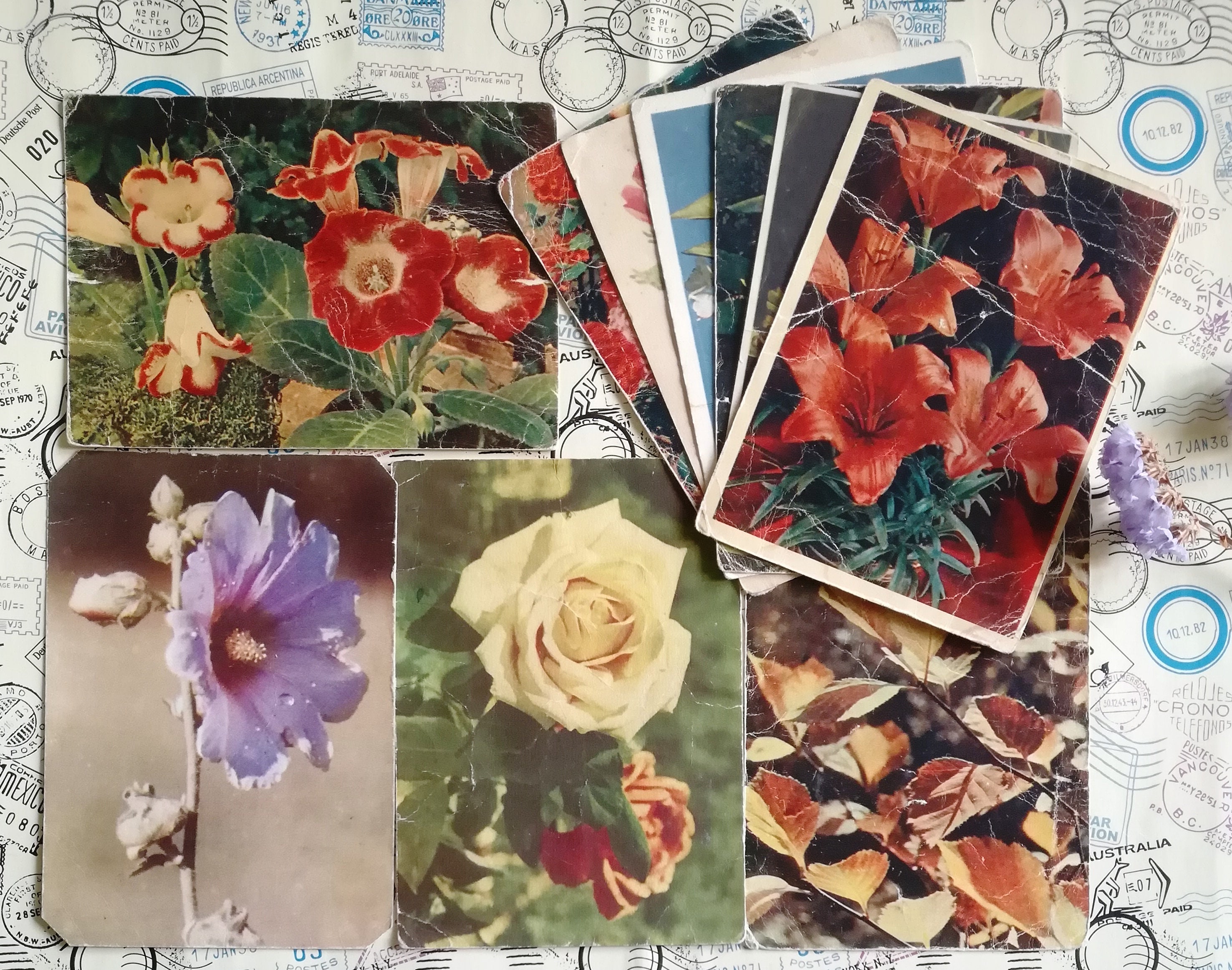 Flores en postales Felicidades Hermosas postales de saludo | Etsy
