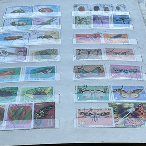 Insects, Butterflies, Beetles on Stamps From Different Countries ...