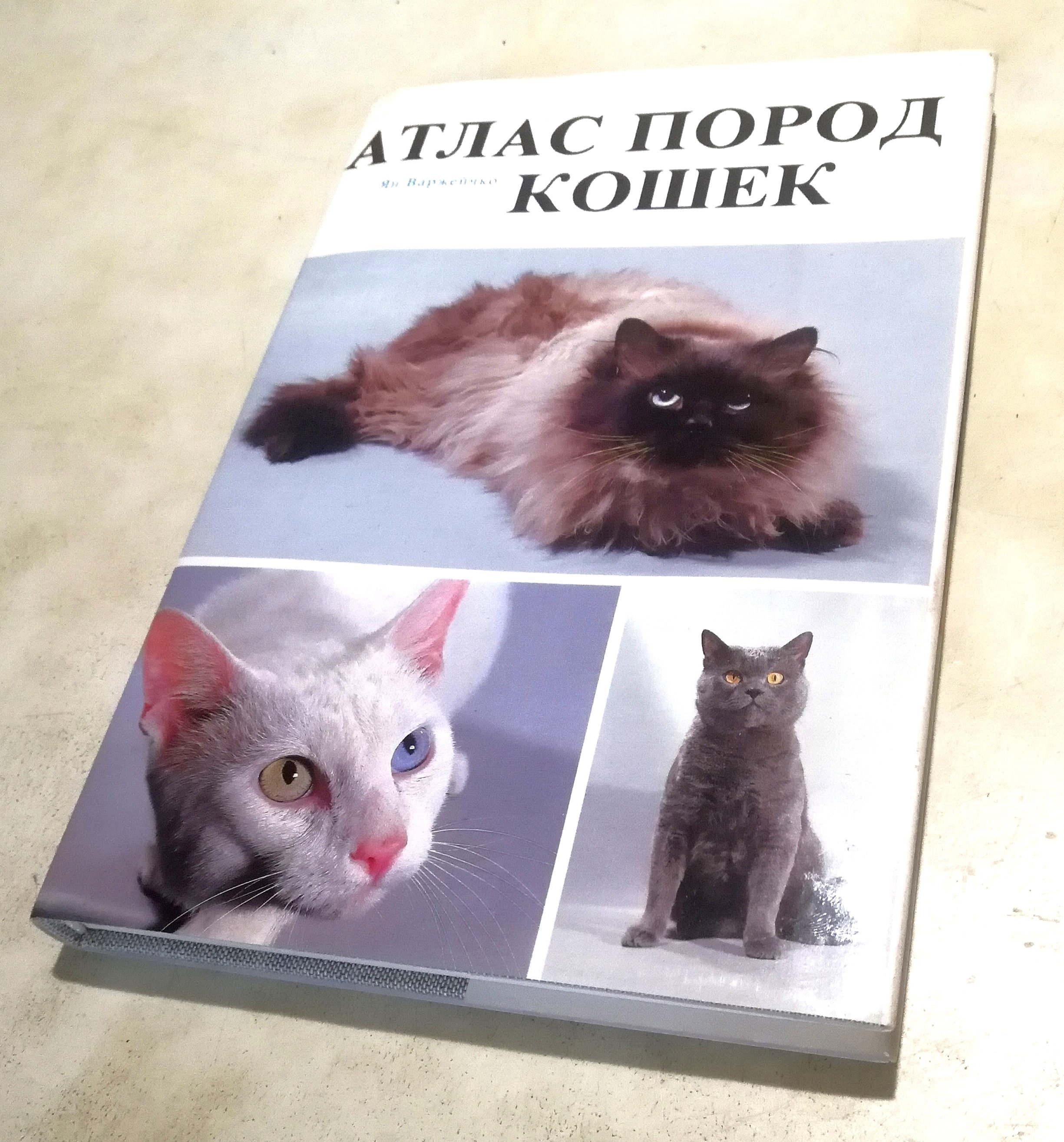 Cats Atlas of cat breedsRare Vintage Bookrussian Origin | Etsy