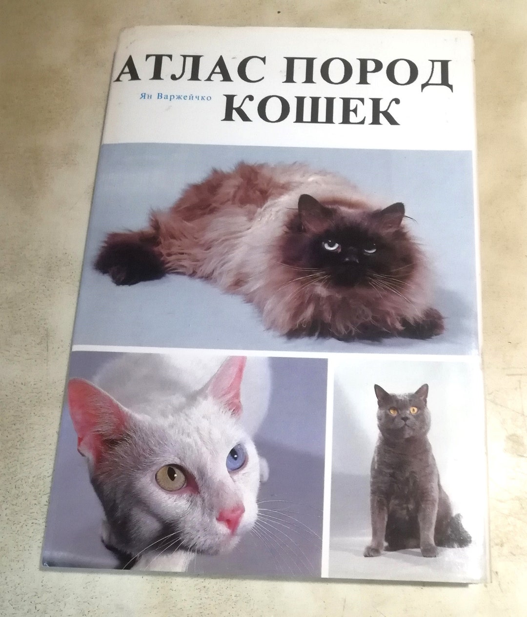 Cats, Atlas of Cat Breeds,rare Vintage Book(russian), Origin and Types ...