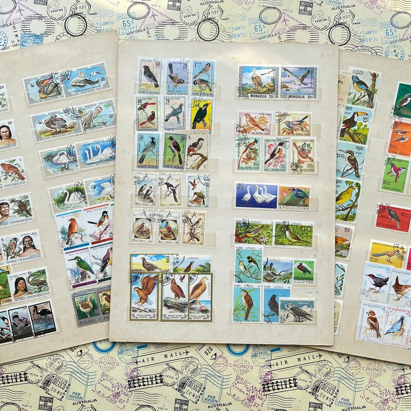 Love Bird Stamp - Etsy