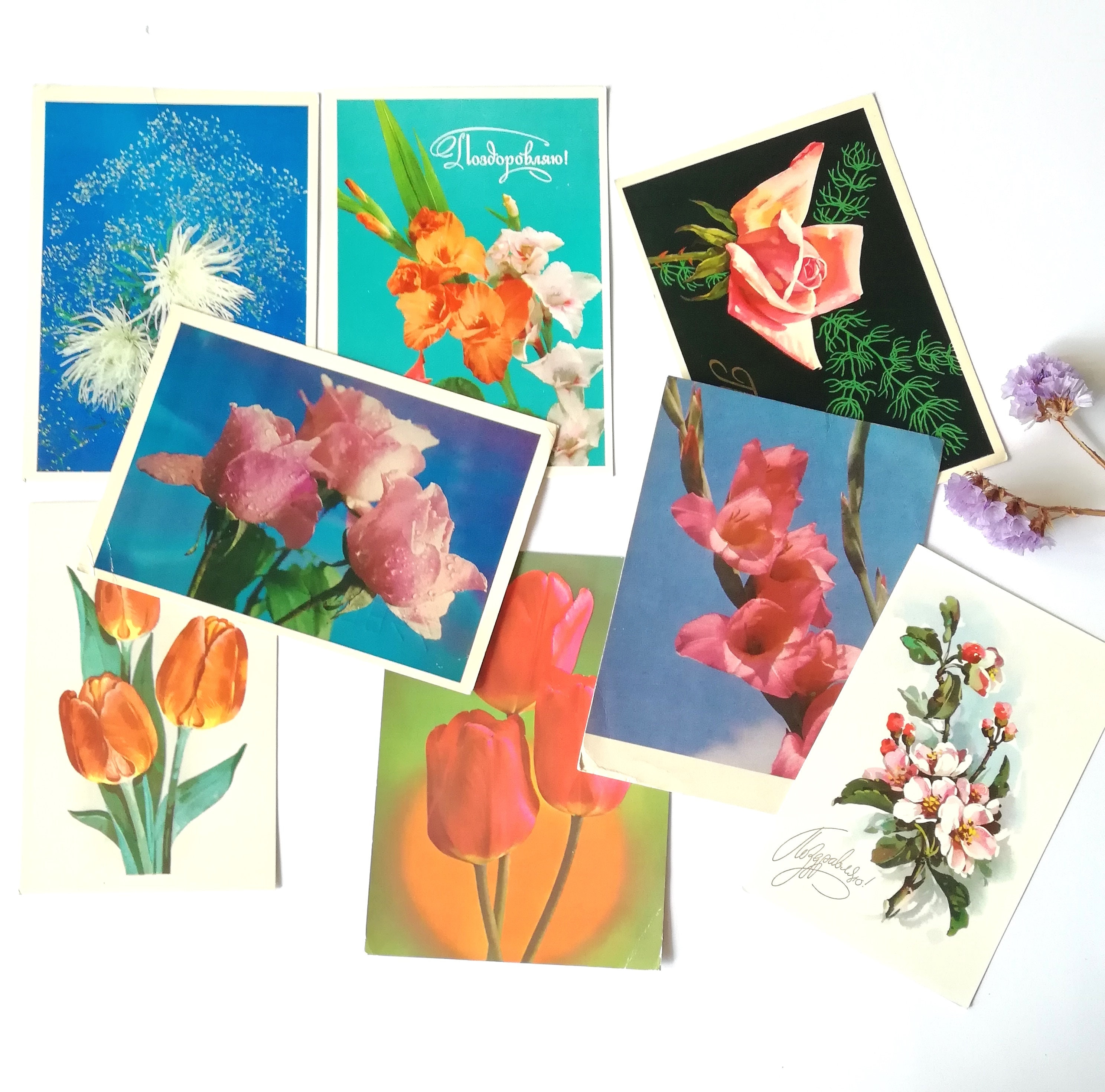 Postales con flores Felicidades Hermosas postales de | Etsy