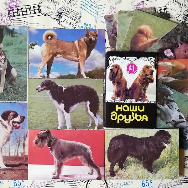 Russian Pocket Calendar - Etsy