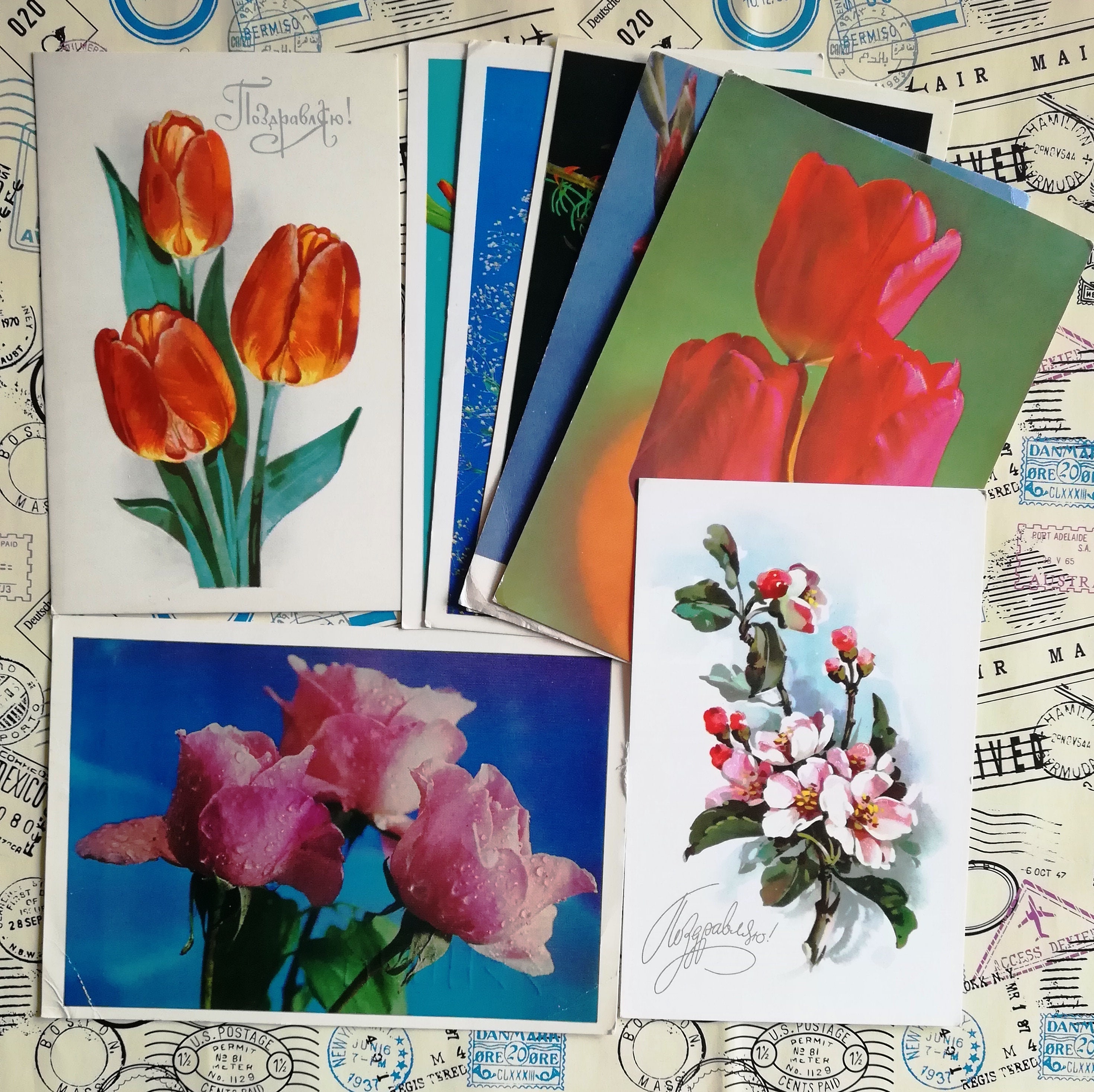 Postales con flores Felicidades Hermosas postales de | Etsy