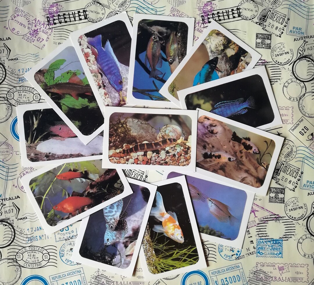 Aquarium Fish, Vintage Ukrainian Pocket Calendars, Set of 12 Colored ...