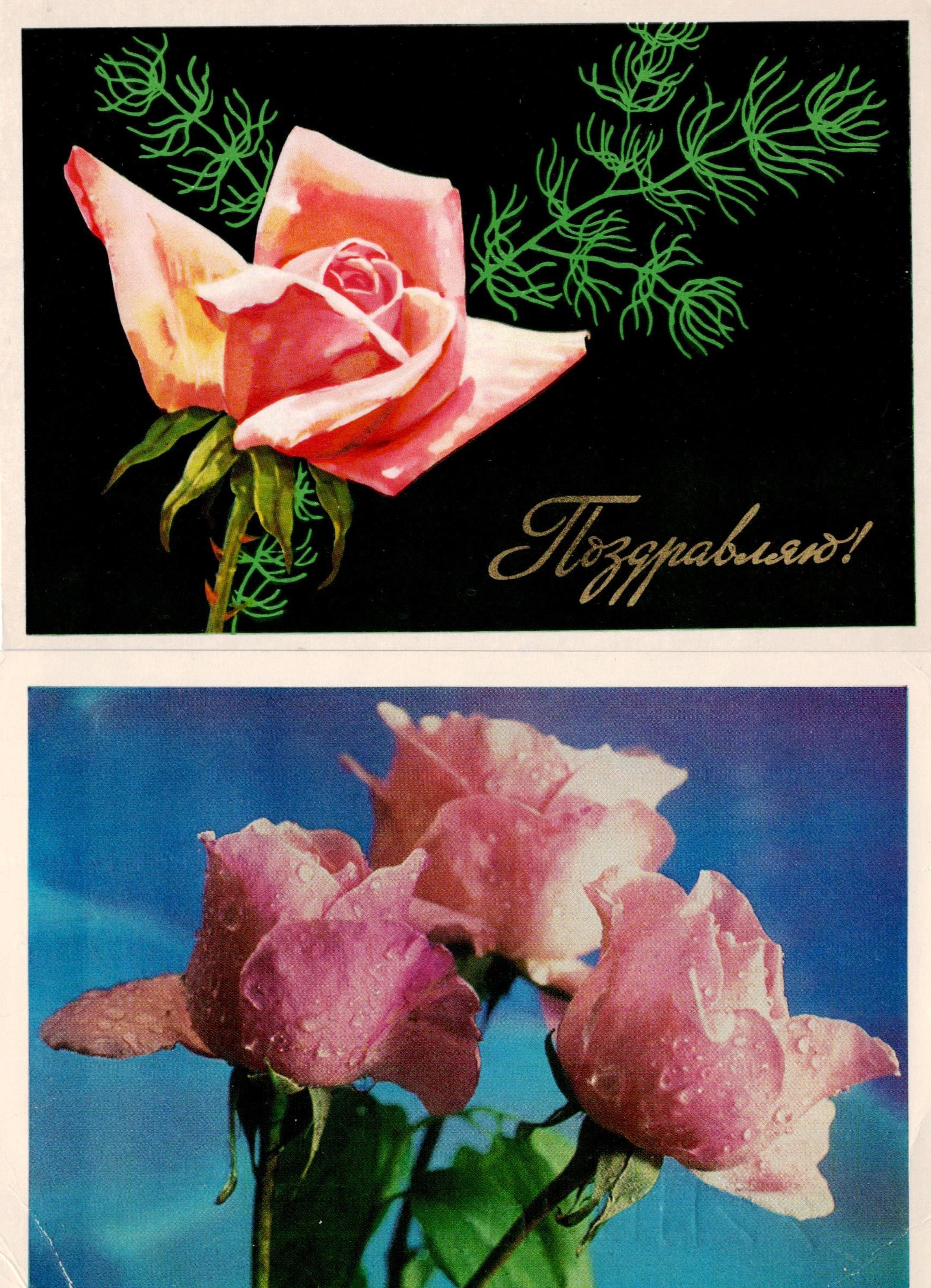 Postales con flores Felicidades Hermosas postales de | Etsy