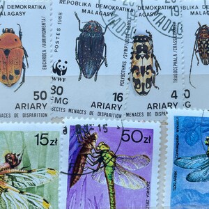 Insects, Butterflies, Beetles on Stamps From Different Countries ...