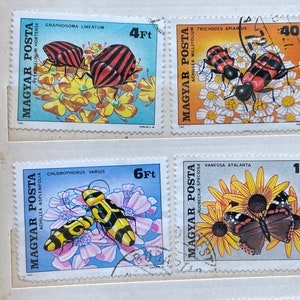 Insects, Butterflies, Beetles on Stamps From Different Countries ...