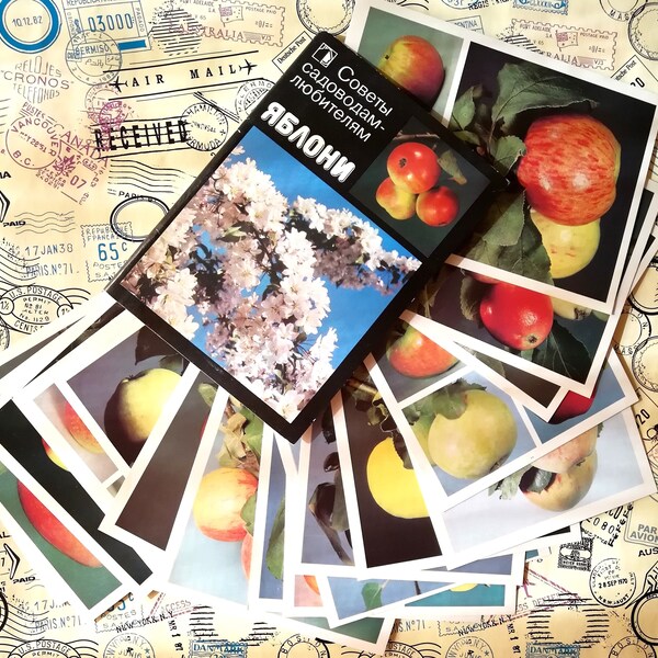 Russian Postcards - Etsy