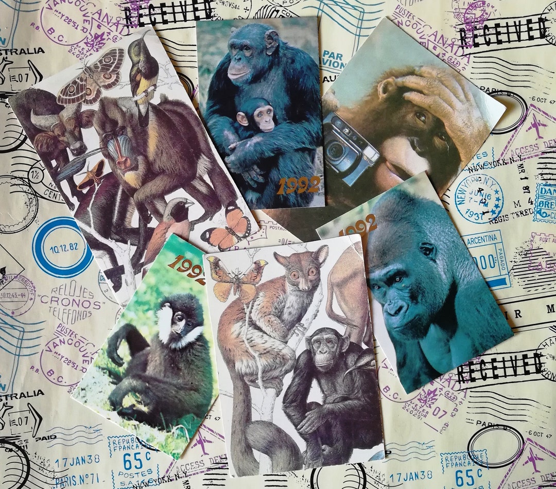 Monkey, Vintage Russian Pocket Calendars, Set of 6 Colored Retro ...