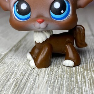 LPS 219 Chocolate Chihuahua Puppy 2005 Hasbro Littlest Pet - Etsy