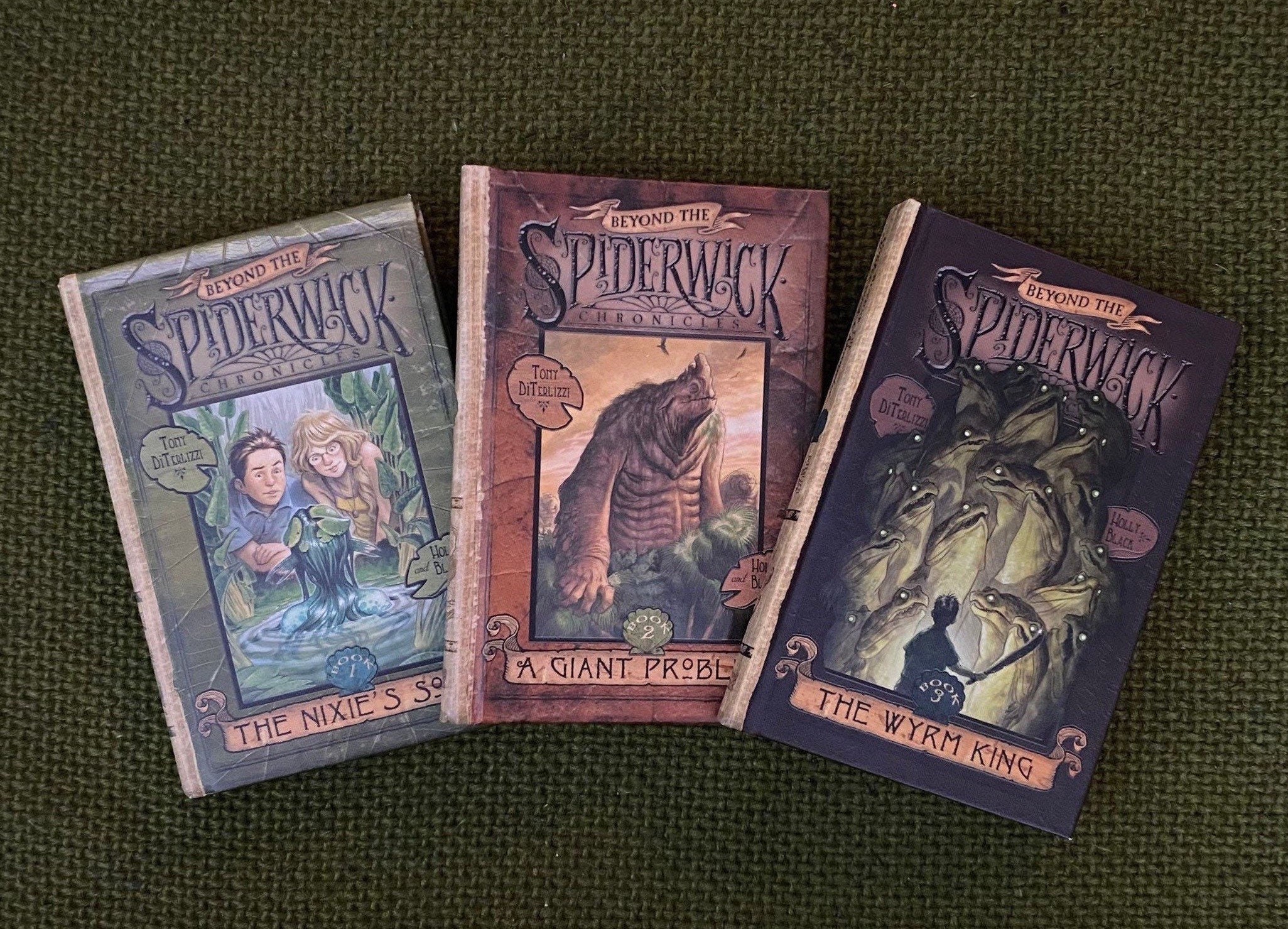 Beyond Spiderwick Chronicles Books
