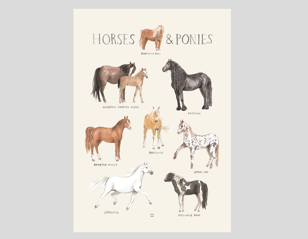 Printable Poster HORSES & PONIES Download Horses Poster Kids Room ...