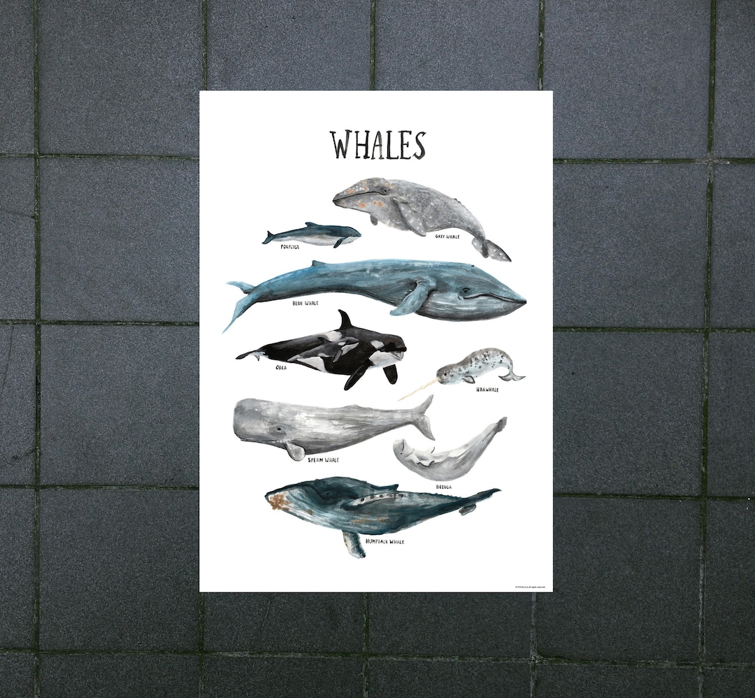 Printable WHALES Poster Digital Download Ocean Poster Whales for ...