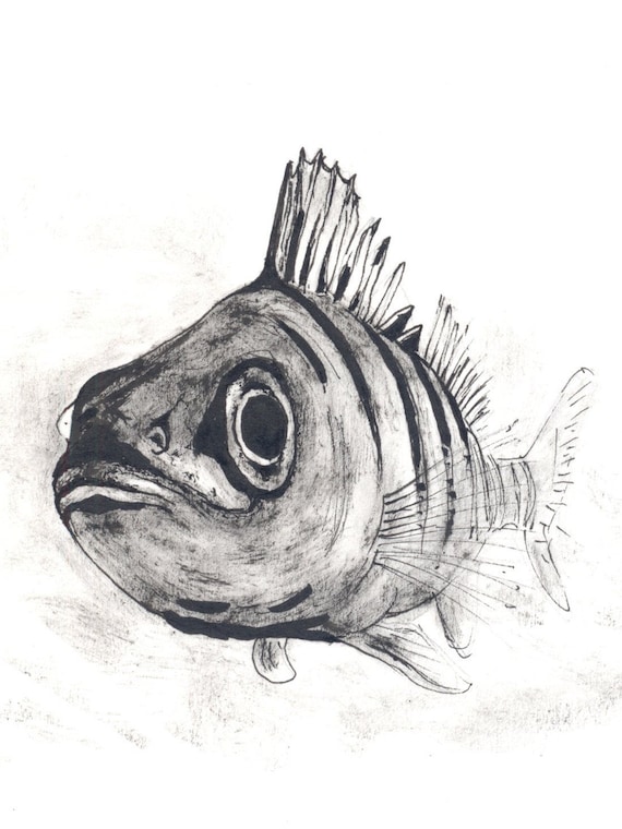 Perch Drawing