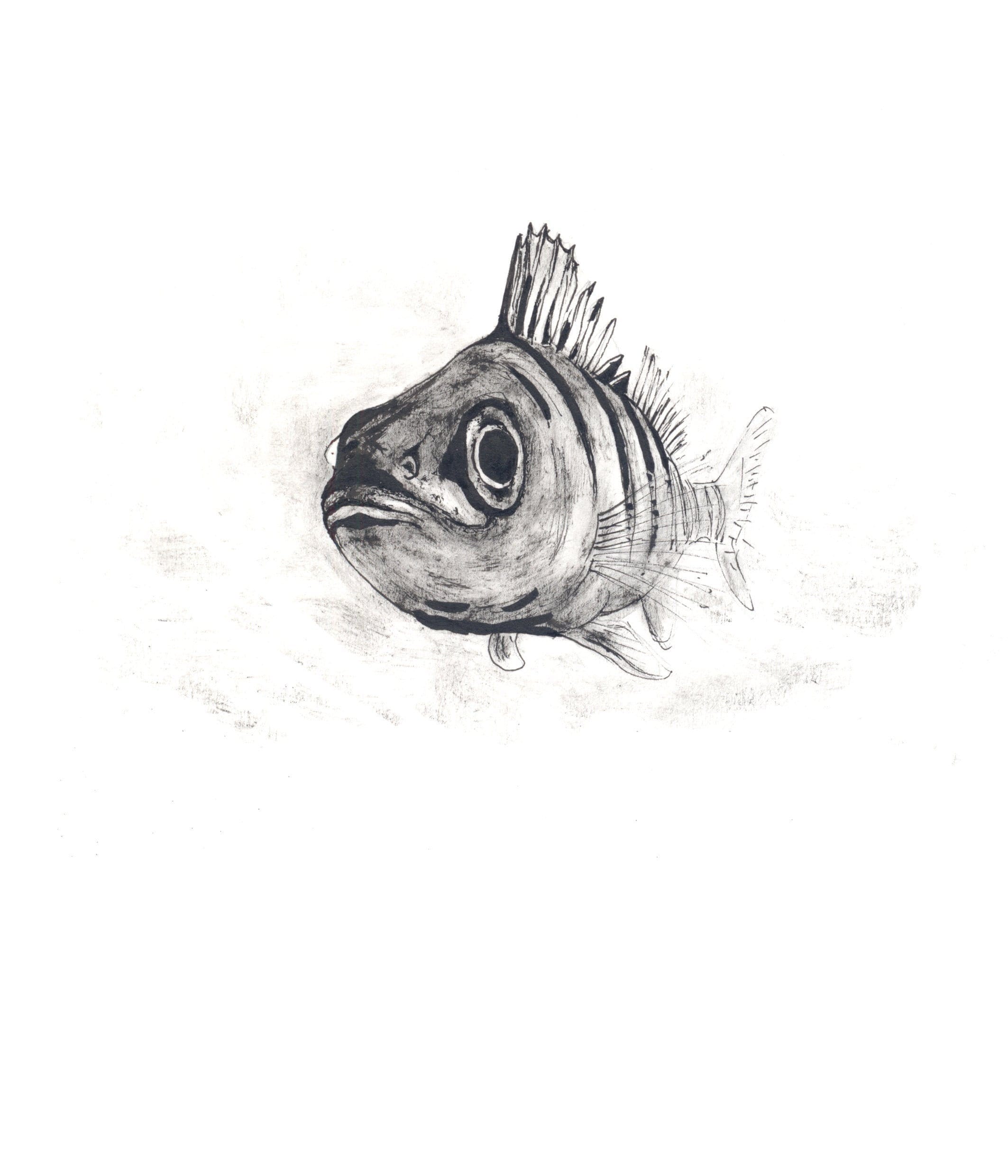 Ink Drawings Of Animals