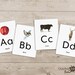 Nature / Animal Alphabet Flash Cards - ABC Cards - Learning Gift ...