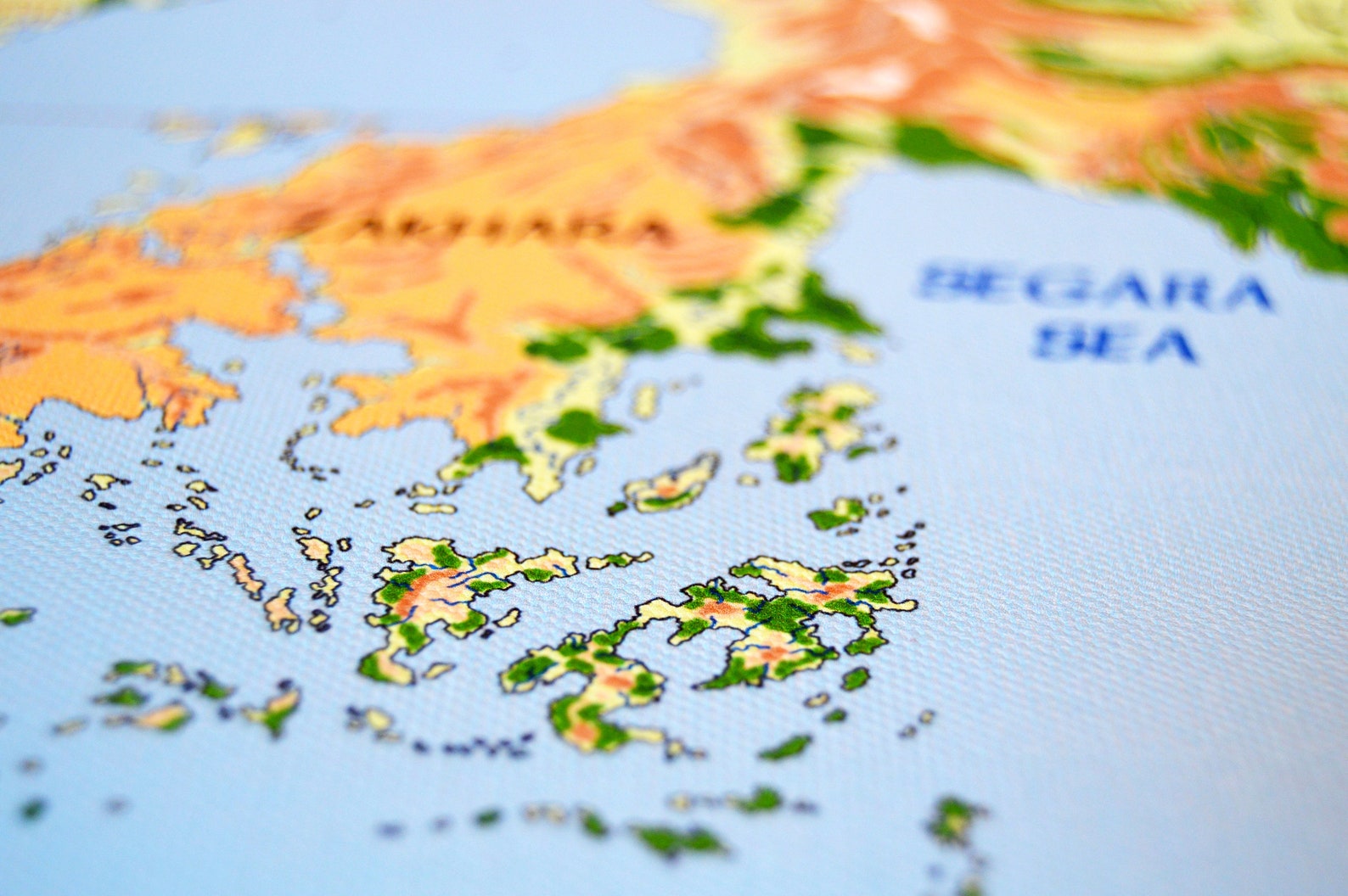 Toril Canvas Print World Map High Grade Roll Up Cotton | Etsy