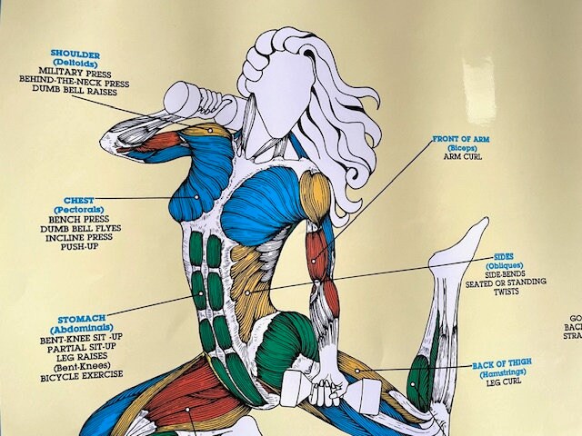 2 Large Vintage Bruce Algra Women's Fitness Posters 1984 the Algra ...