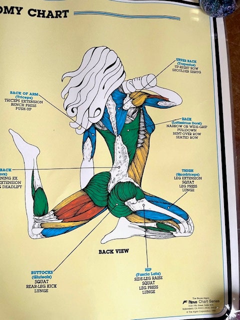2 Large Vintage Bruce Algra Women's Fitness Posters 1984 the Algra ...
