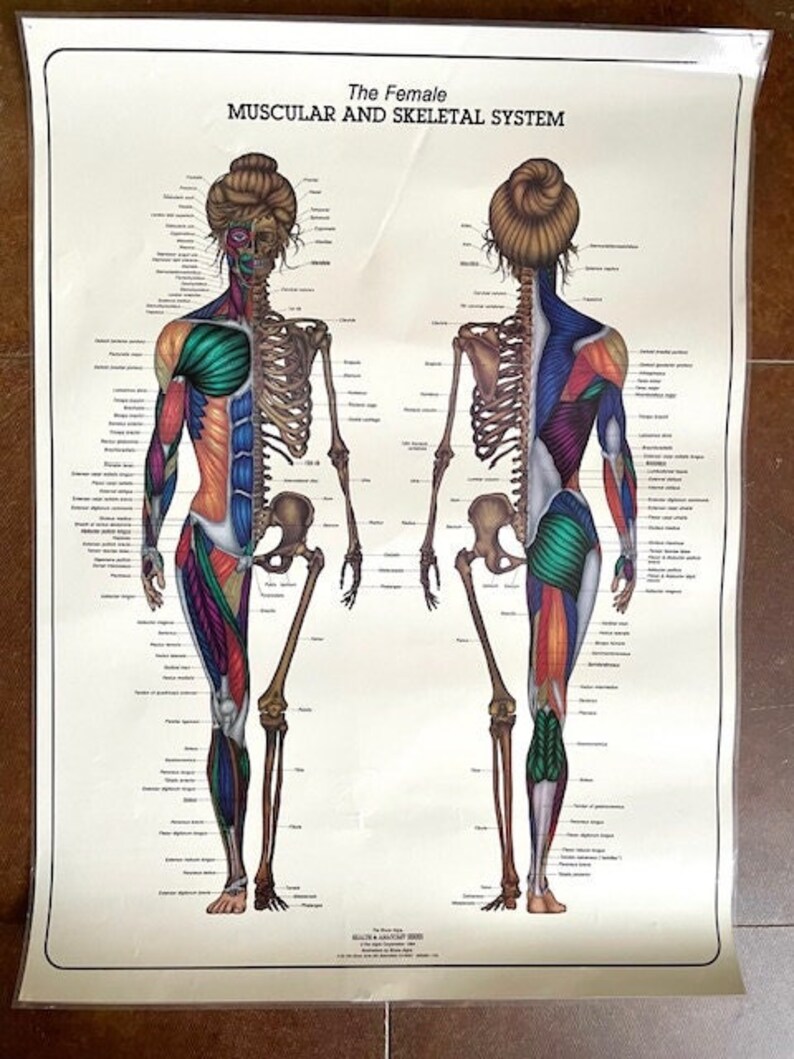 2 Large Vintage Bruce Algra Women's Fitness Posters 1984 the Algra ...