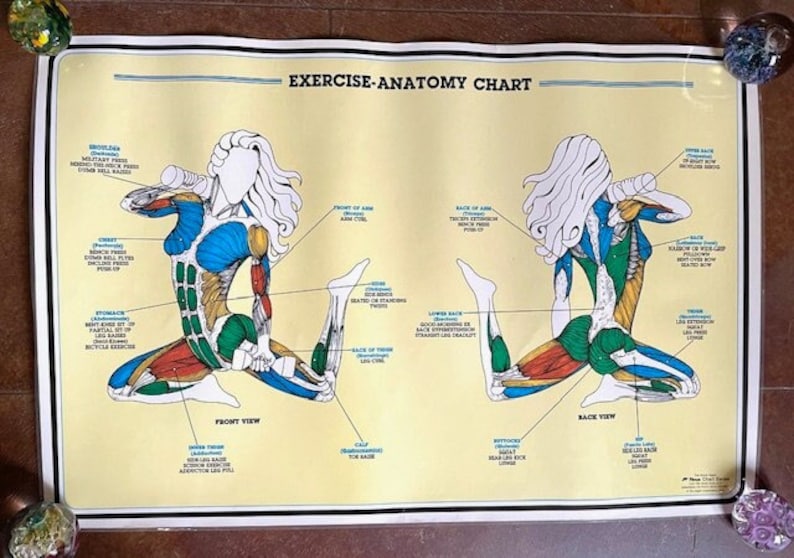 2 Large Vintage Bruce Algra Women's Fitness Posters 1984 the Algra ...