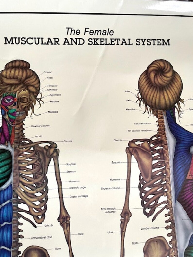 2 Large Vintage Bruce Algra Women's Fitness Posters 1984 the Algra ...