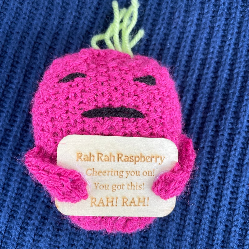 Raspberry Teddy - Etsy UK