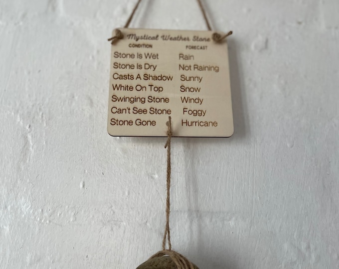 Weather Predicting Stone (joke Funny Gift) - Etsy UK