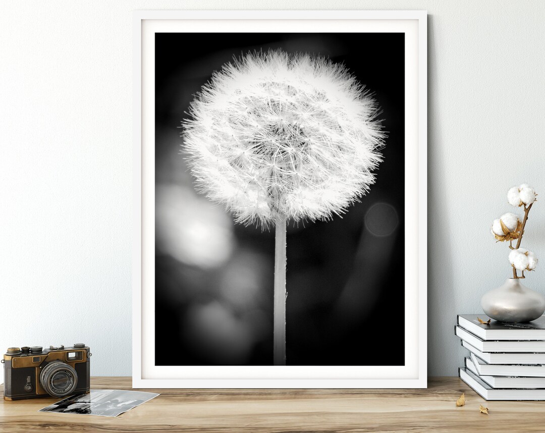 Dandelion Wall Art Dandelion Print Dandelion Art Print Pink Turquoise ...