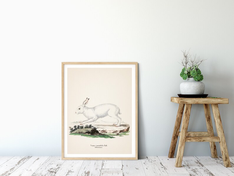 Rabbit Print Set of 2 Prints Woodland Nursery Wall Art Kids Room Decor ...