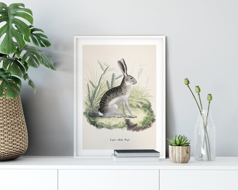 Rabbit Print Set of 3 Prints Woodland Nursery Wall Art Kids Room Decor ...