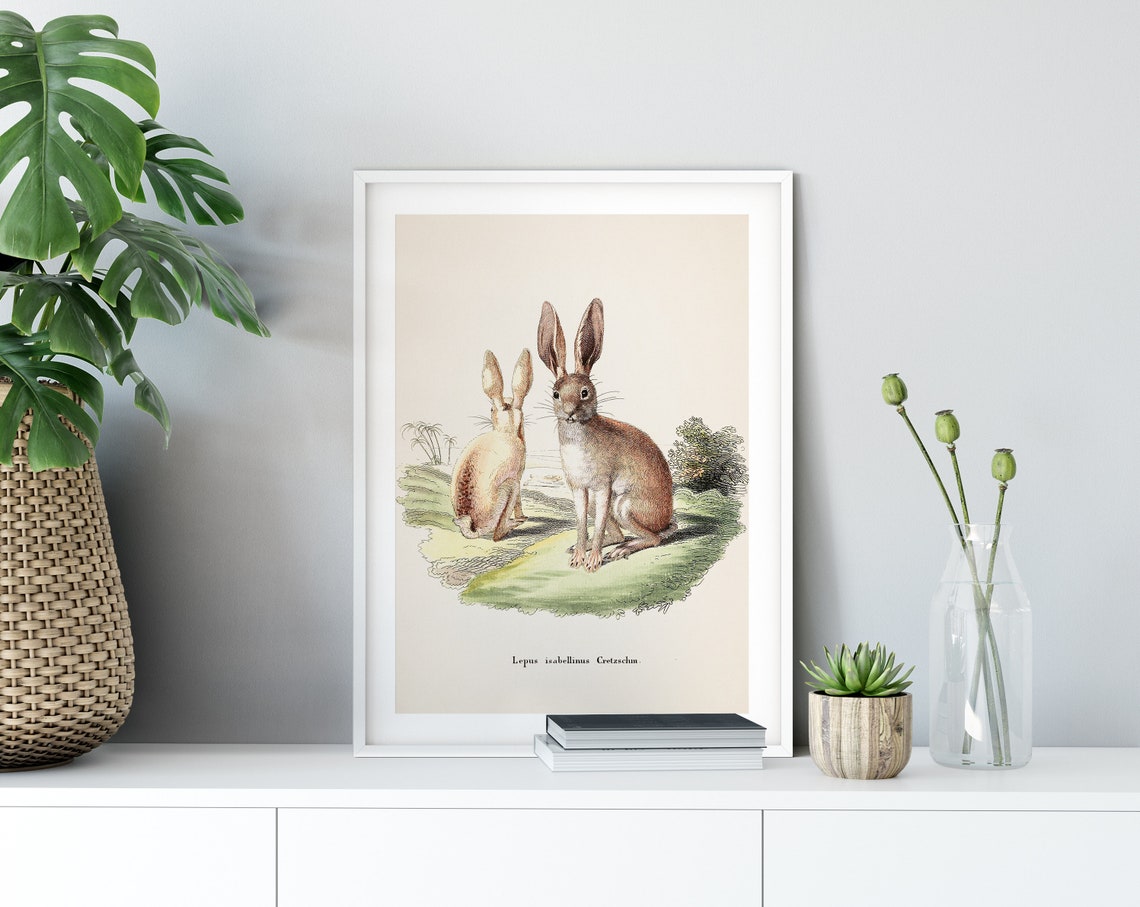 Rabbit Print Woodland Nursery Wall Art Kids Room Decor Printable ...