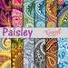 Paisley Print Vinyl, Paisley Heat Transfer Vinyl, Pattern Heat Transfer ...
