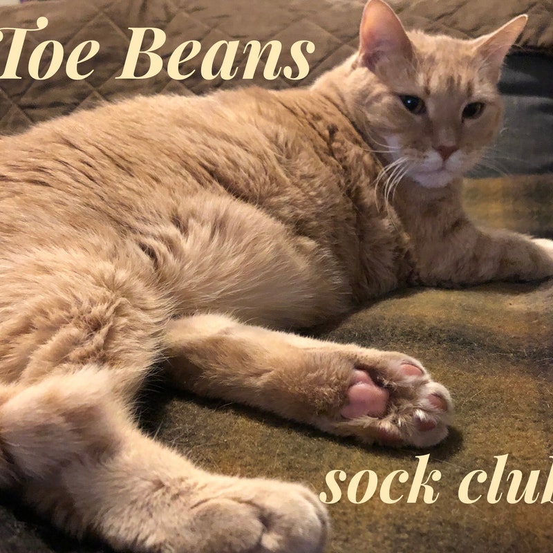 Paw Socks - Etsy