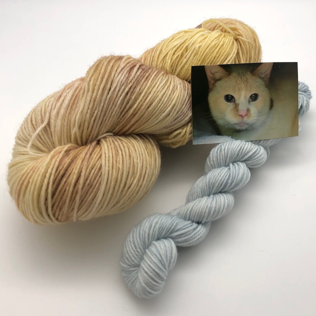 Prrrrrfect Sock Combo, Cat Color Yarn With Mini to Match Eyes, 480 ...