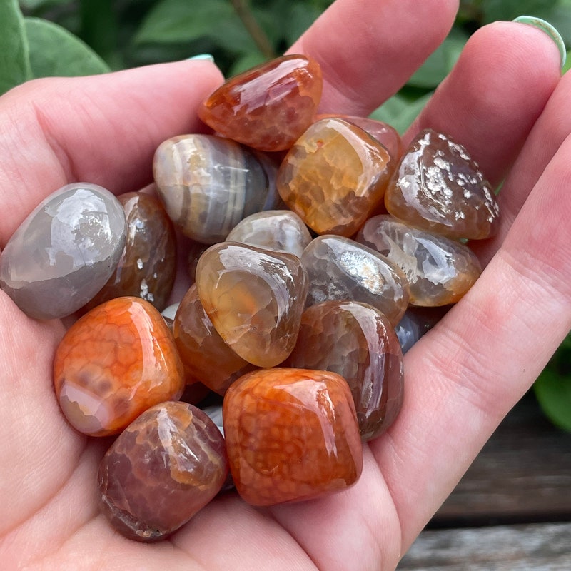 Snakeskin Agate - Etsy