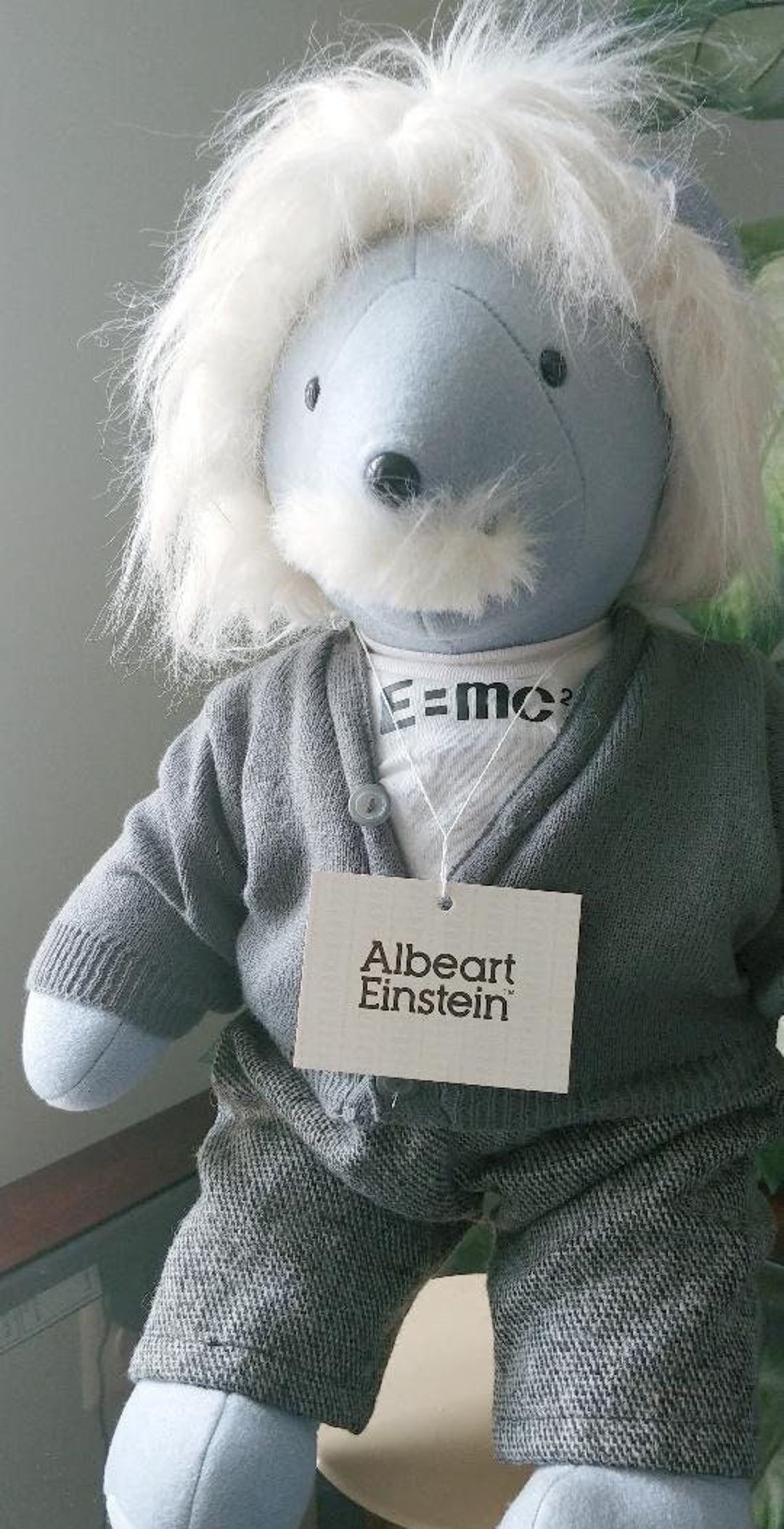 VIB (very Important Bear) Albeart Einstein, 1986 Vintage - Etsy