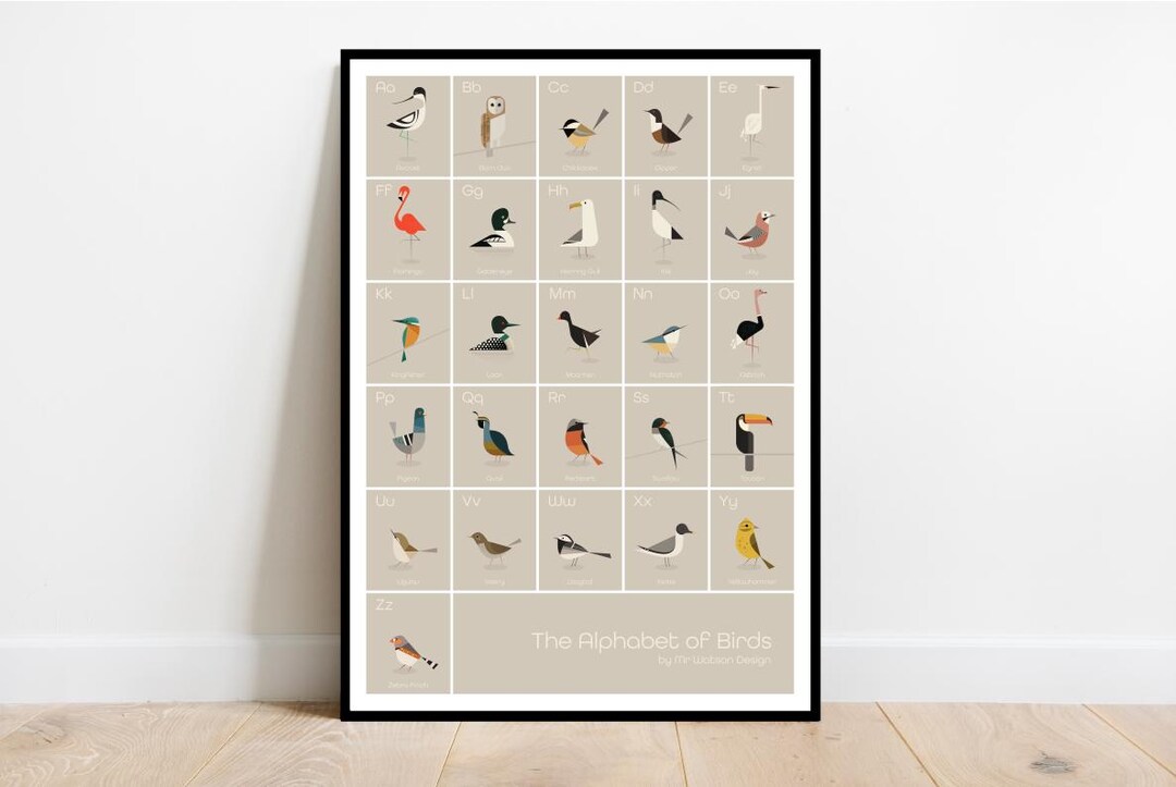 The Alphabet of Birds, A-Z of Birds Print Retro Midcentury 1960s ...