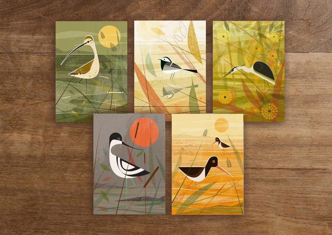 Pack of 5 Wading Birds Greetings Cards. Christmas Cards, Retro ...
