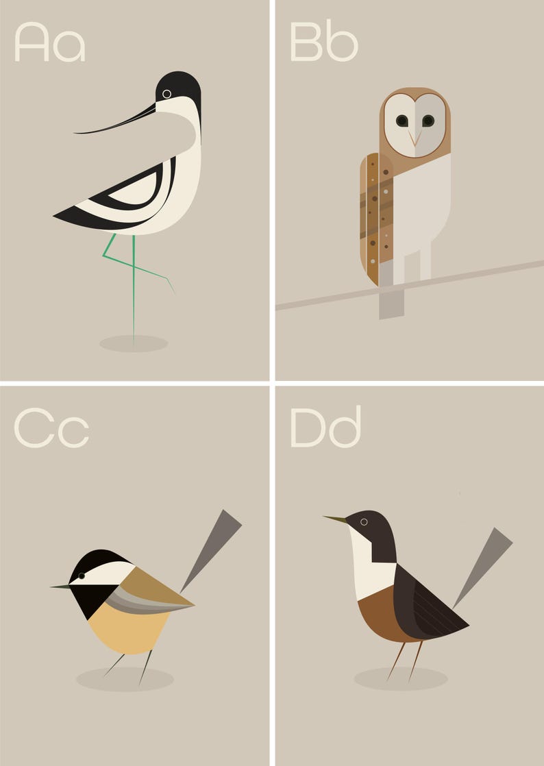 Alphabet Birds Print: Mid-century Modern ABC Nursery Art - Etsy