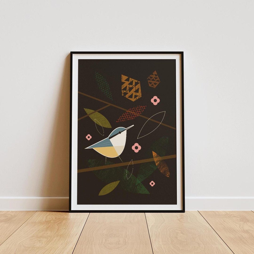 Nuthatch Bird Print: Retro 1960s Mid-century Illustration - Etsy